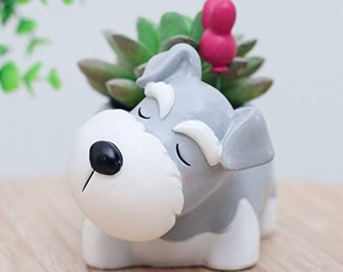 Schnauzer Miniature Planter House Plant Pot 2.5 Inch Home - Etsy