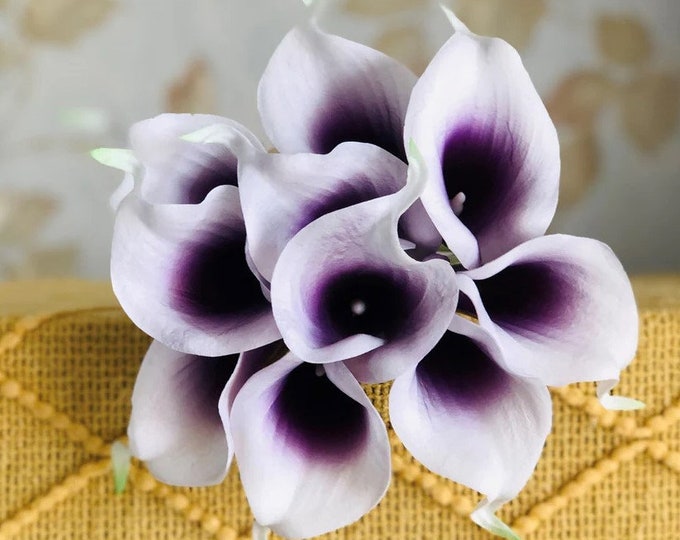 Picasso Calla Lily Live Plant Potted Bulbs Perennial Flowers Live Plant ...