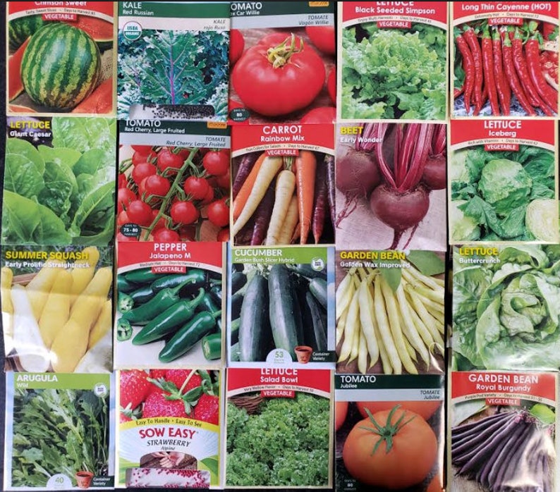 SEED VAULT 50 Essential Heirloom Vegetable Seed Collection by | Etsy