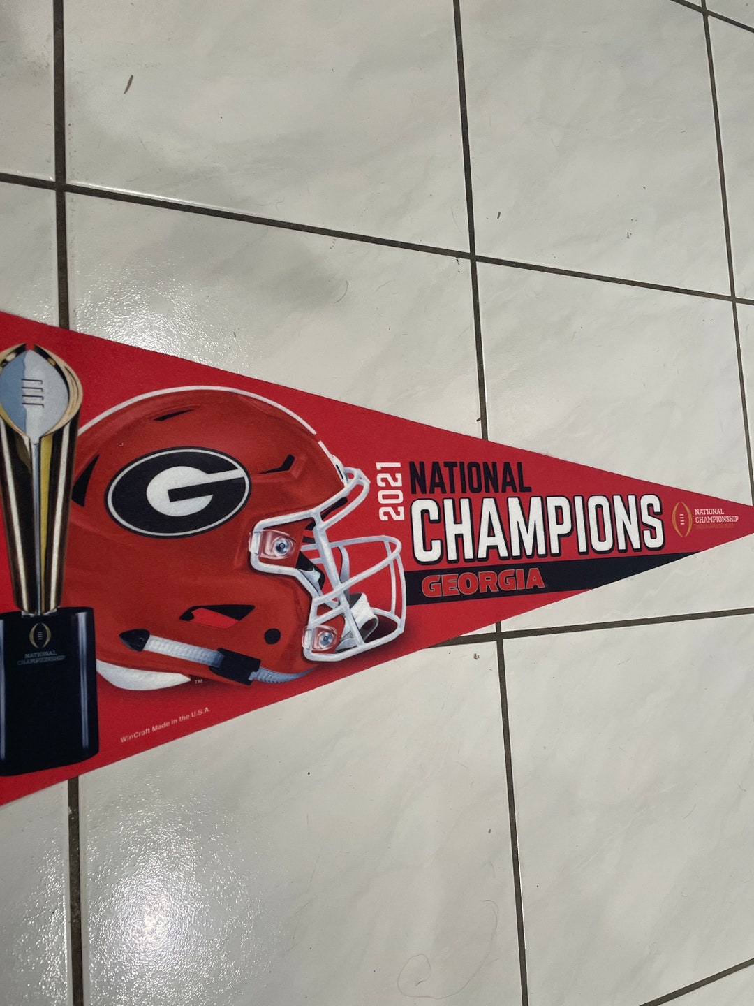 Georgia Bulldogs National Champions Premium Felt Pennant - Etsy