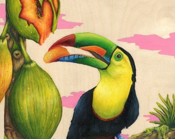 Keel-billed Toucan, Limited Edition Print - Etsy