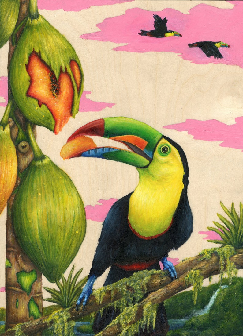 Keel-billed Toucan - Etsy