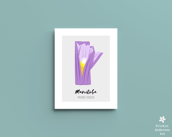 Manitoba Provincial Flower Map Print 8.5 x 11 | Etsy