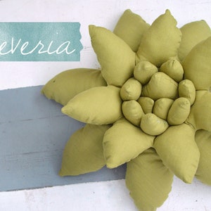 Succulent Desert Blooms Pillow Pincushion Sewing Pattern Large Throw ...