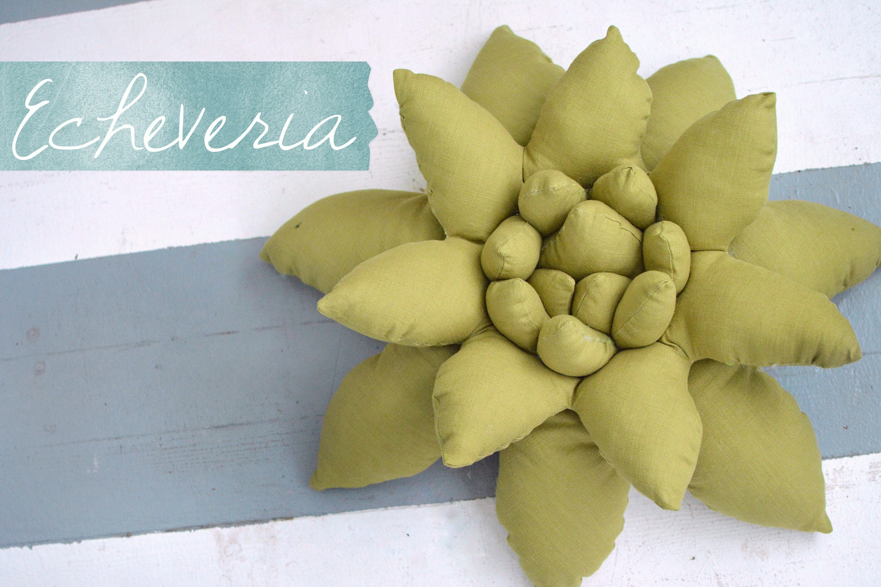 Succulent Desert Blooms Pillow Pincushion Sewing Pattern Large Throw ...