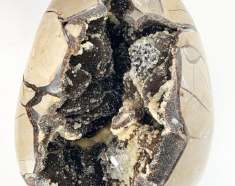 Dragon Egg Rock - Etsy