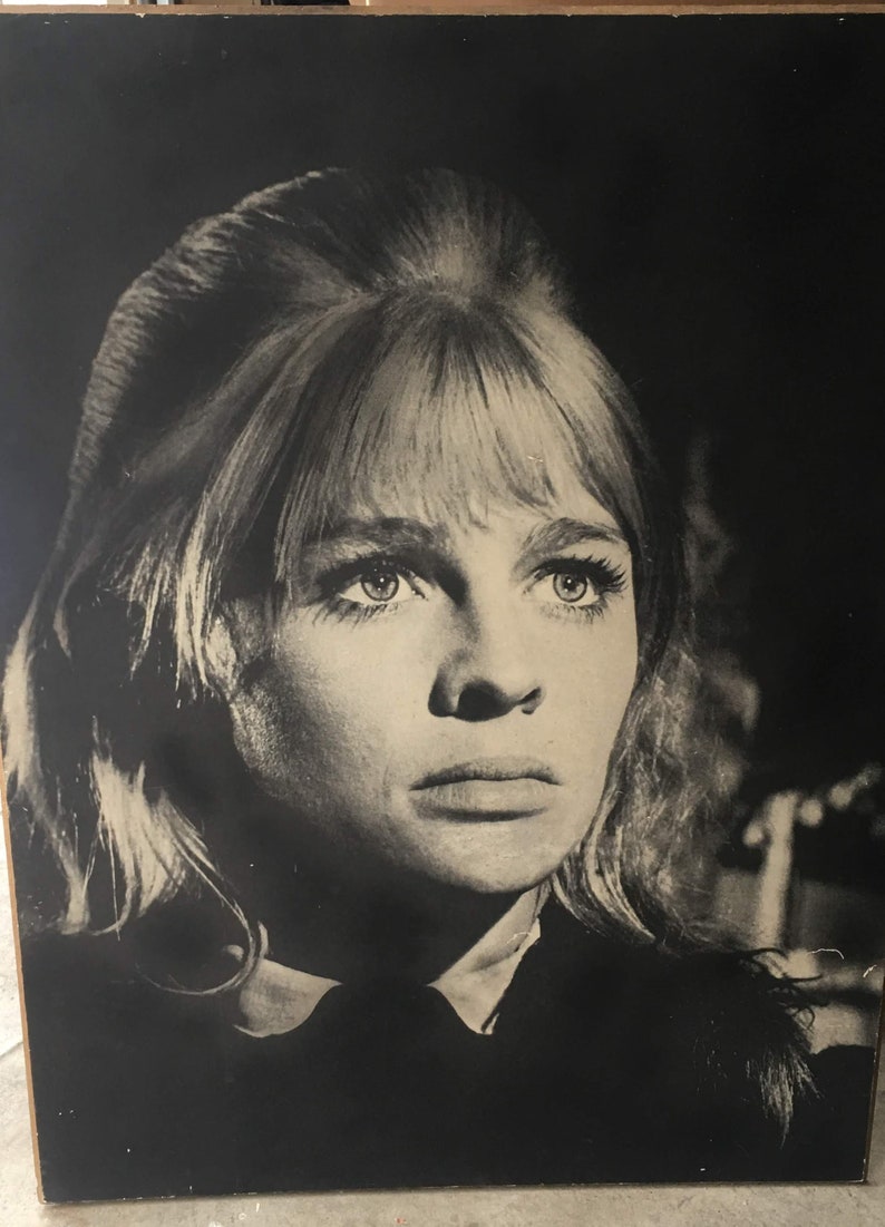 Julie Christie Hard Shell Portrait From Dr. Zhivago 1960s - Etsy