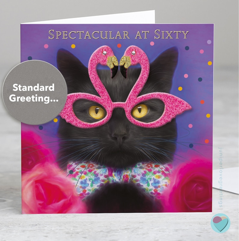 60th Birthday Card for Women - Cat Birthday Card - Spectacular at Sixty ...