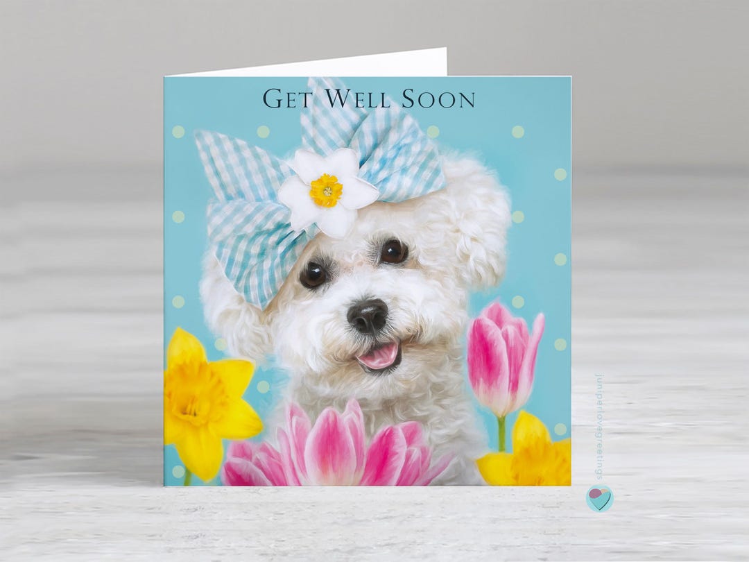 Get Well Soon Card - Dog Get Well Card - Card to or From Bichon Frise ...