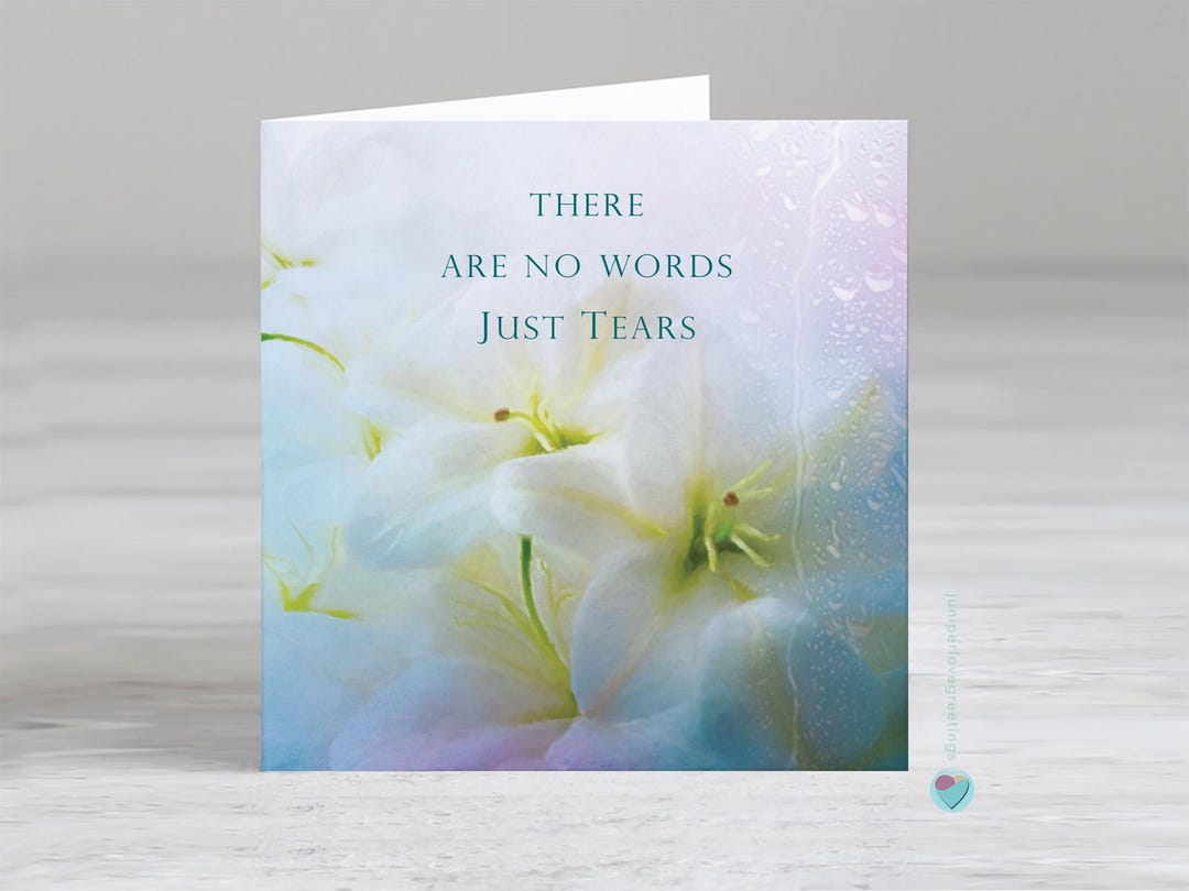 Condolence Card - Sympathy Card - Bereavement Card - There Are No Words ...
