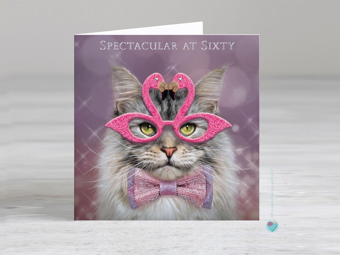 60th Birthday Card: Age 60 Flamingo Cat, SPECTACULAR AT SIXTY, Add ...