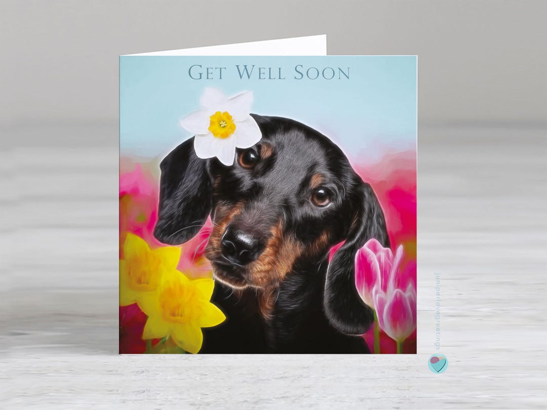 Get Well Soon Card - Dog Get Well Card - Card to or From Dachshund Dog ...