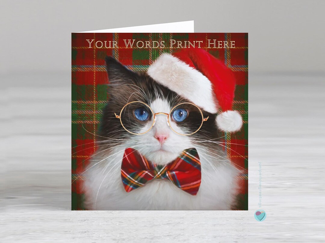 Christmas Card Personalised Christmas Card Ragdoll Cat Christmas Card ...