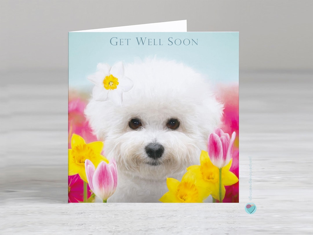 Get Well Soon Card - Dog Get Well Card - Card to or From Dog Lover ...