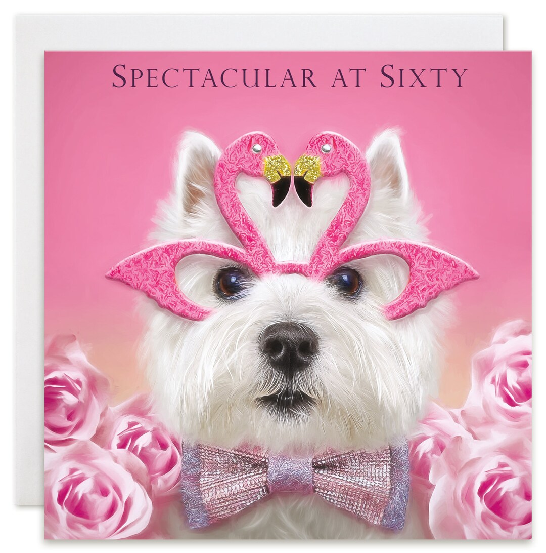 60th Birthday Card Women or Men Flaming Westie Dog Lover SPECTACULAR AT ...