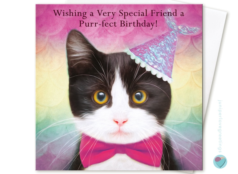 Friend Birthday Card Happy Birthday SPECIAL FRIEND Cute Kitten - Etsy