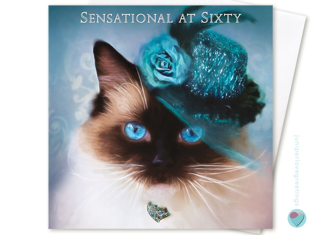 60th Birthday Card for Her Women Lady SENSATIONAL AT SIXTY Posh Teal ...