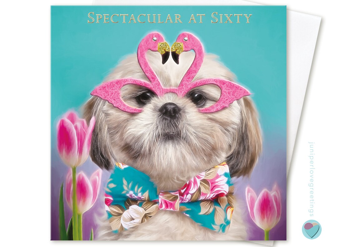 60th Birthday Card Women Men SPECTACULAR AT SIXTY or - Etsy UK