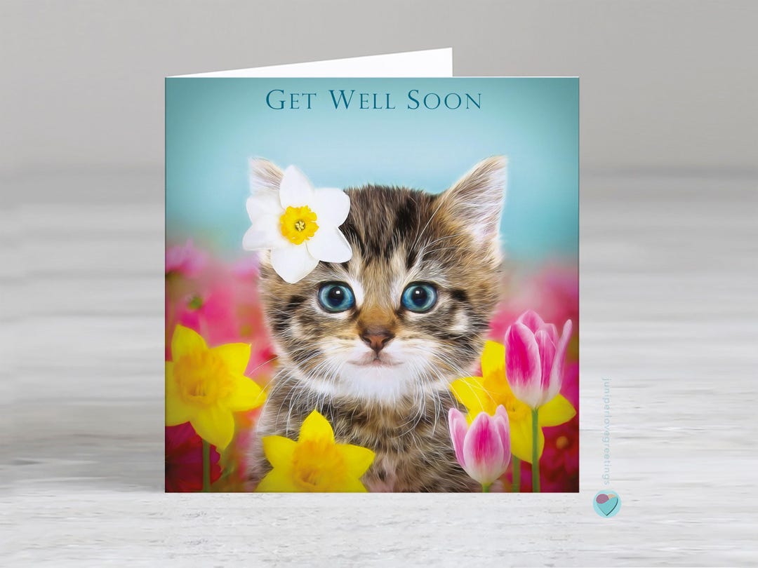Get Well Soon Card - Cat Get Well Card - Card to or From Cat Lover ...