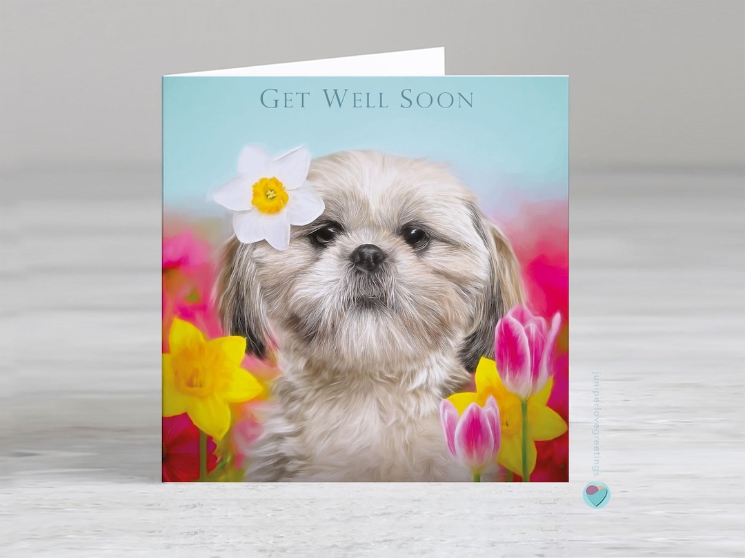 Get Well Soon Card - Dog Get Well Card - Card to or From Dog Lover ...
