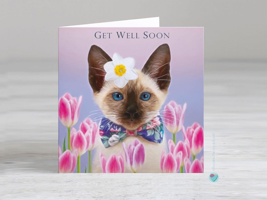 Get Well Soon Card Cat Get Well Card Card to or From Cat Lover Option ...