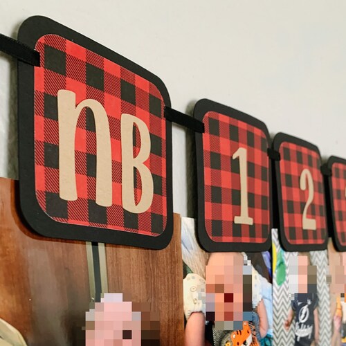 Lumberjack First Birthday Photo Banner /buffalo Plaid Monthly | Etsy