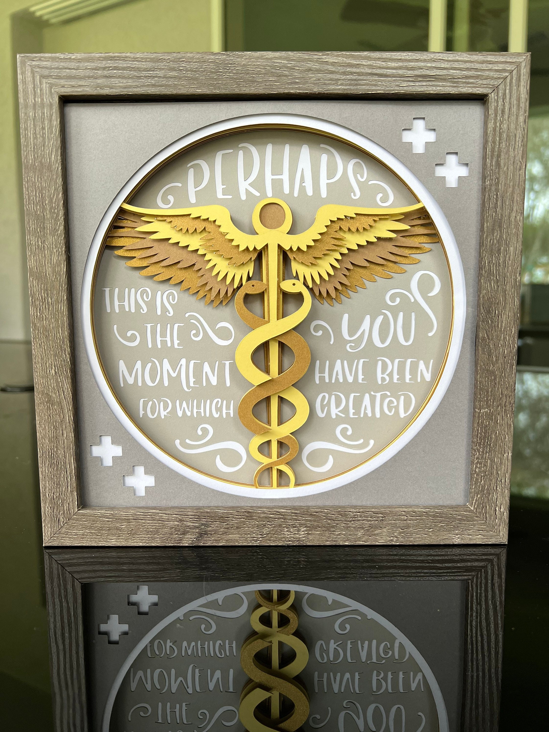Doctor Shadow Box / Doctors Day Gift Caduceus Gift / Doctor | Etsy