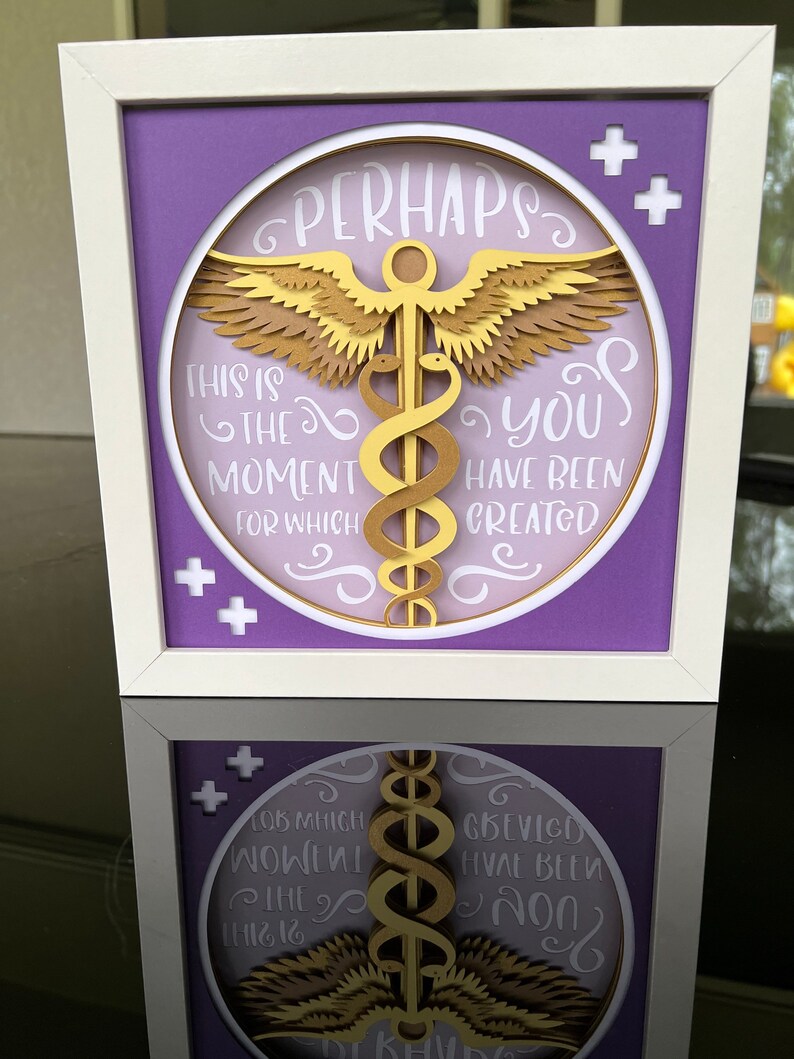 Doctor Shadow Box / Doctors Day Gift Caduceus Gift / Doctor | Etsy