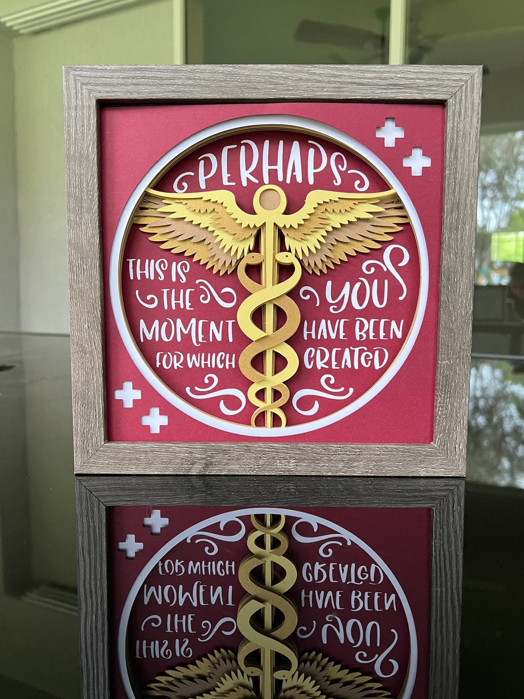Doctor Shadow Box / Doctors Day Gift Caduceus Gift / Doctor Caduceus ...