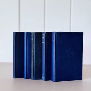 Vintage Indigo Blue Mini Book Set for Decor, the World's Classics ...