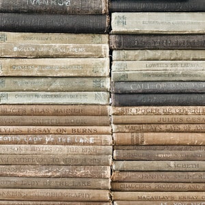 Set of 5 Vintage Decorative Books by Color, Real Books for Decorating ...