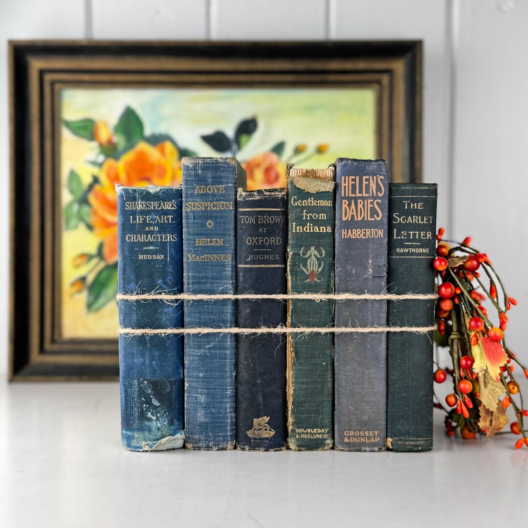 Shabby Antique Blue Distressed Books for Display, Old Cozy Book Bundle ...
