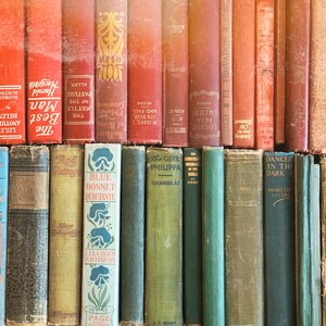 Set of 5 Vintage Decorative Books by Color, Real Books for Decorating ...