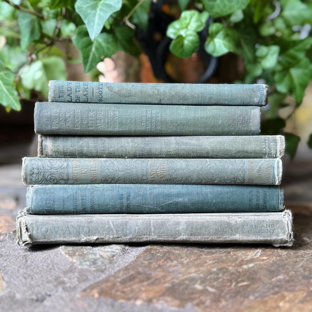 Green and Blue Antique and Vintage School Books for Shelf Styling ...