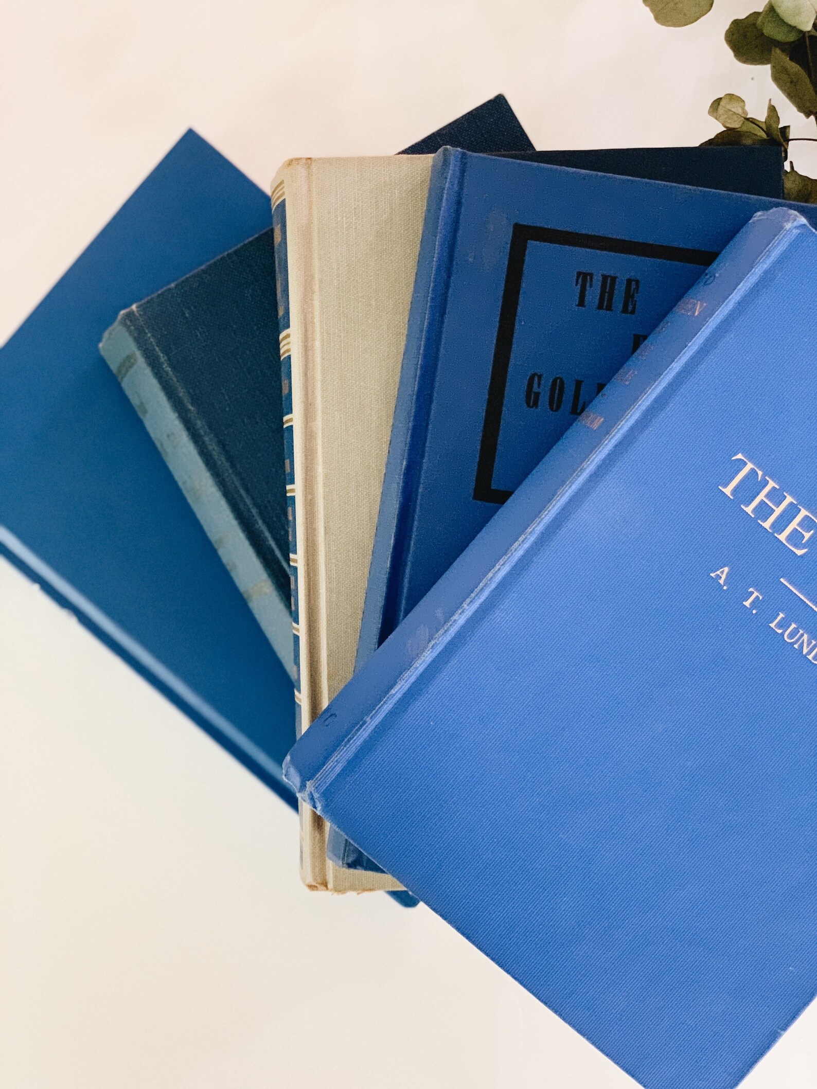 Vintage Decorative Indigo Blue Books for Display Rainbow | Etsy