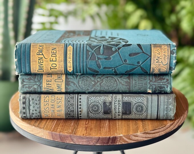 Antique Ornate Blue Green Book Set for Display - Etsy