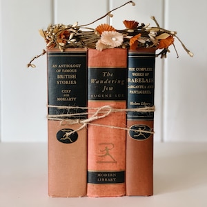Rust Red and Black Decorative Books, Modern Library Giant Books, Shabby ...