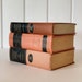 Rust Red and Black Decorative Books Modern Library Giant - Etsy