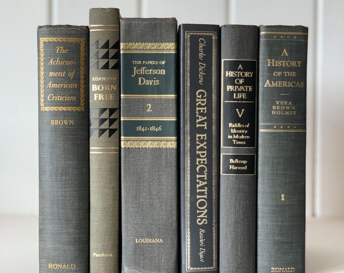 Gray Vintage Books, Old Books for Shelf Styling, Masculine Home Office ...