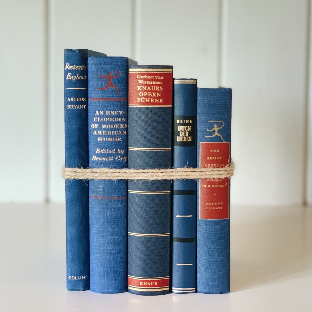 Indigo Blue Vintage Book Set, Home Staging, Boho Decor, Books for ...