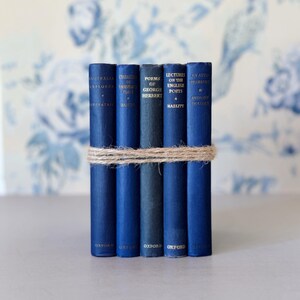 Vintage Indigo Blue Mini Book Set for Decor, the World's Classics ...