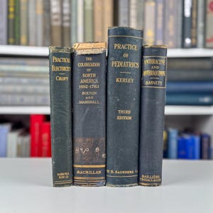 Antique Blue School Book Bundle, School Textbooks, Faded Shabby Books ...