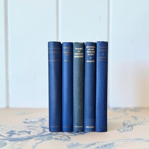 Vintage Indigo Blue Mini Book Set for Decor, the World's Classics ...