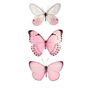 Pink Butterfly, Butterfly, Butterfly Print, Pink Butterfly Print, Pink ...