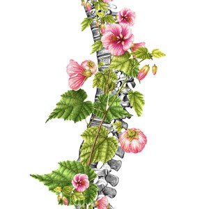 Anatomical Spine Human Anatomy Art Flower Spine Spine With | Etsy