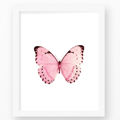 Pink Butterfly Butterfly Butterfly Print Pink Butterfly | Etsy