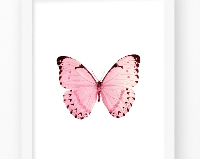 Pink Butterfly Butterfly Butterfly Print Pink Butterfly | Etsy