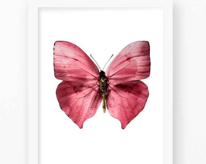 Pink Butterfly Butterfly Butterfly Print Pink Butterfly | Etsy