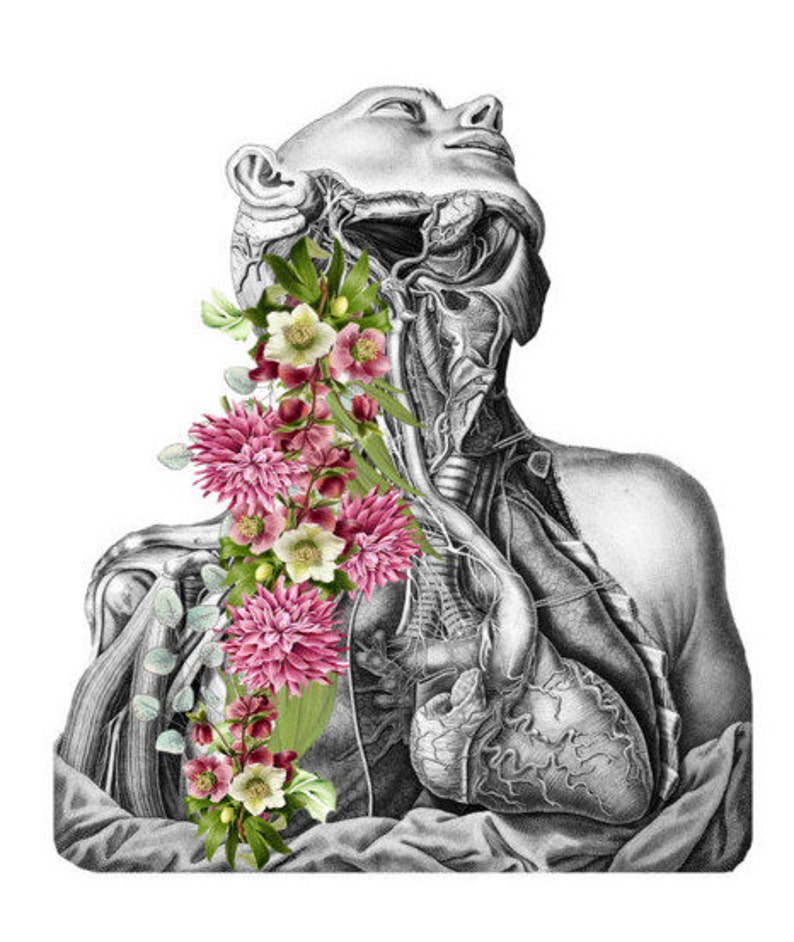 Anatomical Art Floral Anatomy Prints Human Anatomy Art - Etsy Singapore