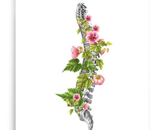 Anatomical Spine, Human Anatomy Art, Flower Spine, Spine With Flowers ...